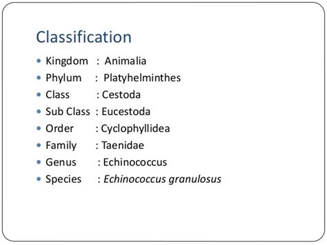 Echinococcus Granulosus