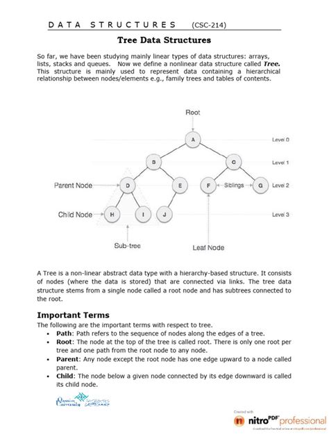 Module 10 Data Structures Non Linear Trees And Graph Data