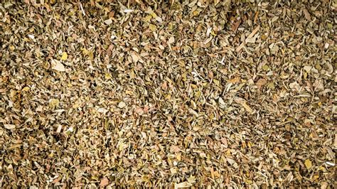 Buy Organic Catnip Fast Shipping By Smokably