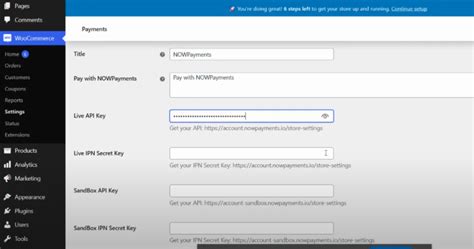 How To Setup NOWPayments For WooCommerce CoderPress