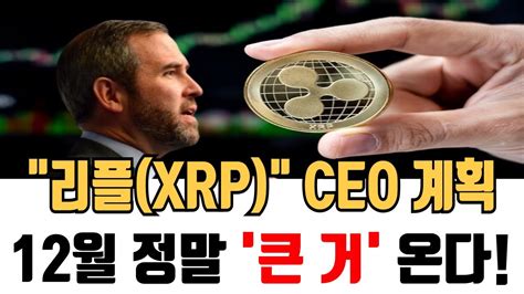 리플 전망 Ceo계획 12월 정말 큰 거 한방온다 Youtube