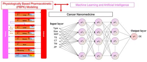 Predicting Nanoparticle Delivery To Tumors Using Machine Lea IJN