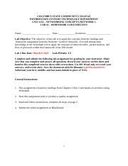 Mastering Wireshark Essential Networking Lab Exercises Course Hero