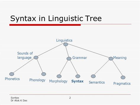 Syntax Tree Linguistics