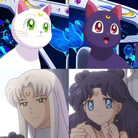 Artemis And Luna In 2025 Sailor Moon Cat Sailor Moon Art Sailor