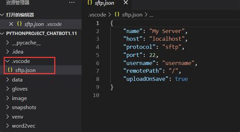将本地项目文件上传到远程服务器中详细教程（vscode，sftp）vscode写的网页如何上传到万维网 Csdn博客