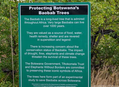 Botswanna Africa 2023 Okavango Delta Camp And Lodge Life Ralph Mawyer Photography