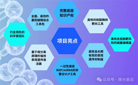 微光基因 基因编辑