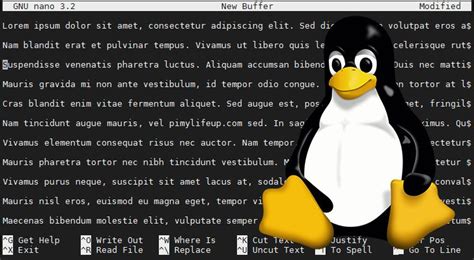 Using Nano On A Linux System Computer Coding Linux Linux Operating