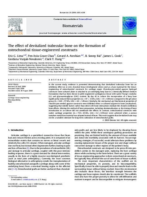 Pdf The Effect Of Devitalized Trabecular Bone On The Formation Of Osteochondral Tissue