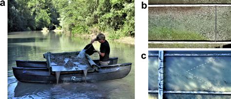 Flow Seeding With Fine Suspended Sediments A Injecting Download
