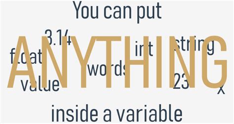 2143 Variables Data Shaped Boxes