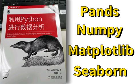 人工智能必备Python数据分析浙大博士半天就教会我大学一直没学会的利用Python进行数据分析怎么可以讲的如此通俗太强了 哔哩哔哩 bilibili