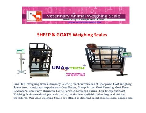 Goat Weighing Scales For Goat Farms Goat Suppliers Livestock Farms