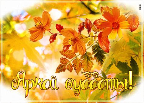 Веселая и радостная гиф открытка Яркой субботы Скачать бесплатно на