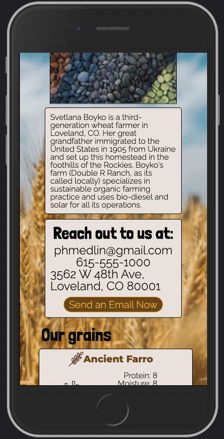 Github Fair Trade Grains Frontend
