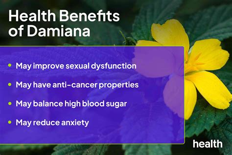 Damiana Benefits Uses Side Effects And More