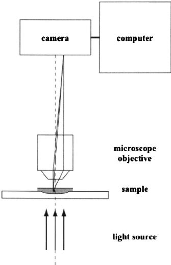 Mean Square Displacements As A Function Of Time Download Scientific