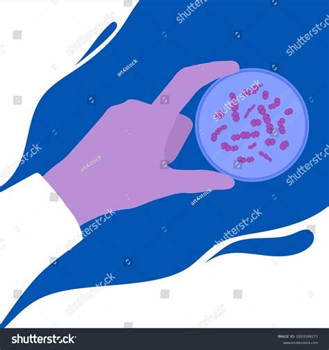 Streptococcus Pneumoniae Bacteria Under Microscope Medical Stock Vector Royalty Free