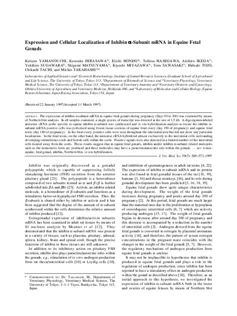 Pdf Expression And Cellular Localization Of Inhibin Alpha Subunit
