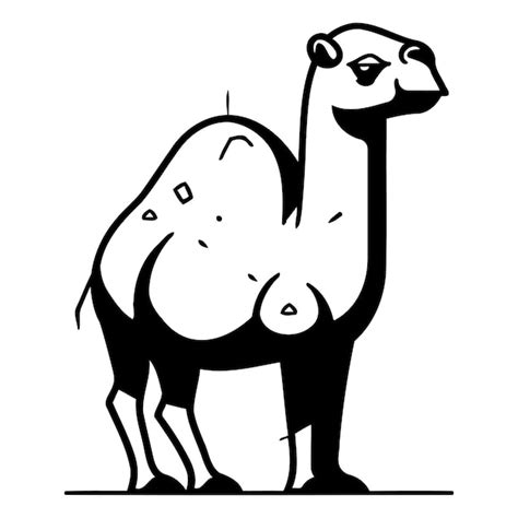 Premium Vector Camel Vector Illustration Cute Camel Isolated On White Background