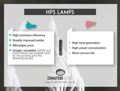 Differences Between HPS And CFL Lamps