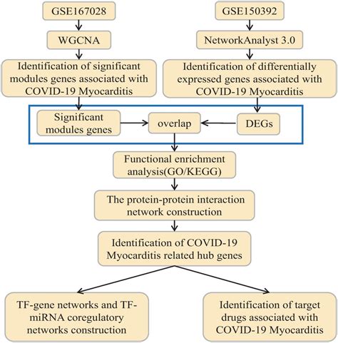 Workflow Chart Of This Study Wgcna Weighted Gene Correlation Network