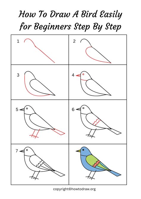 How To Draw Birds In Simple Steps