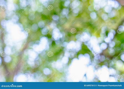 Natural Bokeh Blurred Bokeh Stock Image Image Of Effect Green