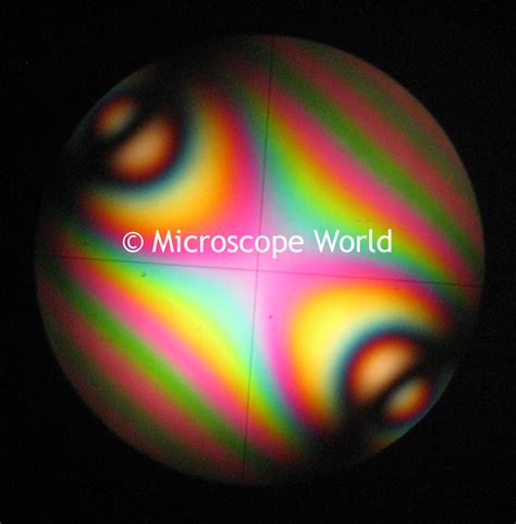Microscope World Blog Polarizing Microscope Interference Figures