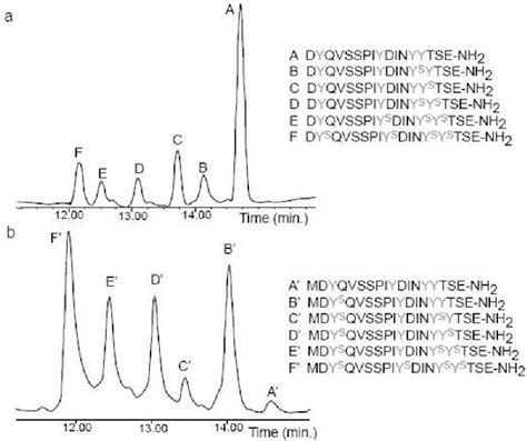 Figure 1 From Pattern And Temporal Sequence Of Sulfation Of Ccr5 N