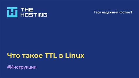 Что такое Ttl в Linux Полезная информация о хостинге от The Hosting