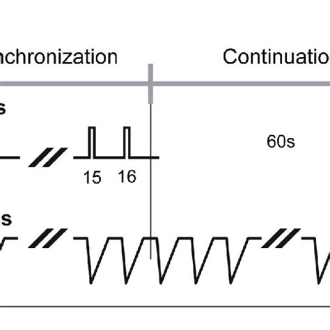 Synchronization Continuation Task Each Participant Was Required To
