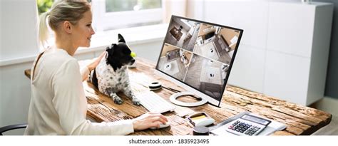 8 Hundred Girl Cctv Royalty Free Images Stock Photos Pictures Shutterstock