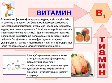 Витаминдер - презентация онлайн