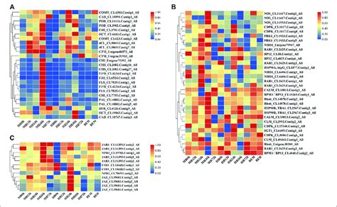 Differential Gene Expression Profiles Involved In Plant Pathogen
