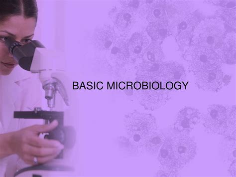 Ppt Basic Microbiology Powerpoint Presentation Free Download Id
