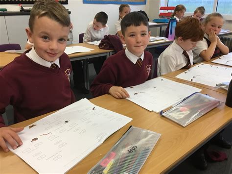 Classification Keys Y4 St Bridgets Catholic Primary School