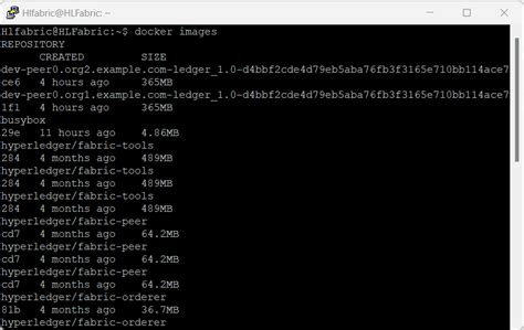 How To Create A Backup Docker Images And Hyperledger Fabric Binaries By Dannies Pahlevi Medium