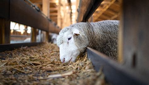 Blog Nanolab Laboratories Group