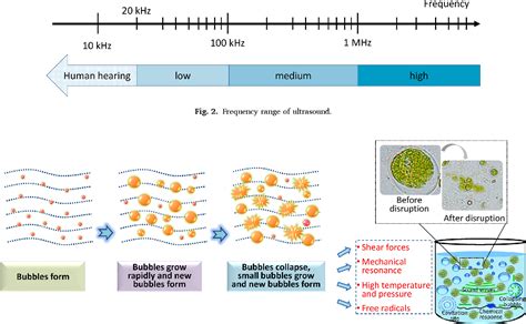 Figure 2 From Ultrasound For Microalgal Cell Disruption And Product