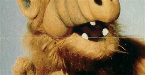 Ct Scan Album On Imgur