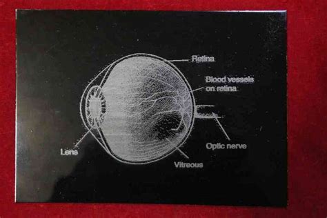 Need Some Speed Power Settings For Atomstack A20 Pro Community Laser Talk LightBurn Software