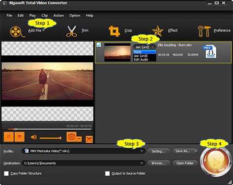 remove audio track how to remove audio from mkv avi mp4 wmv