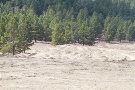 Дархан Уул аймгийн газар нутгийн 49 хувь нь цөлжилтөд өртсөн Eguurmn