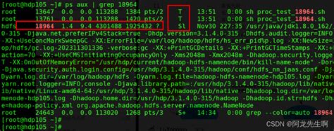 【linux】进程查看fork函数进程状态linux获取fork状态 Csdn博客