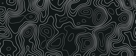 Abstract Black And White Topographic Art