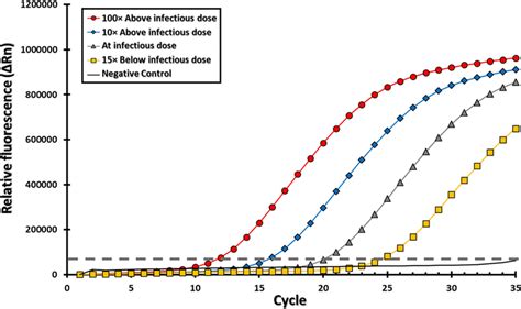 Detection Sensitivity Of The Oligonucleotide Based Assay With The Download Scientific Diagram