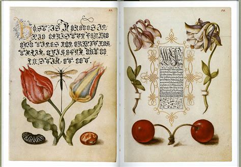 Как Создать Травник В Тетради - 65 фото