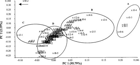 Near‐infrared Spectroscopy And Imaging For The Monitoring Of Powder Blend Homogeneity Journal